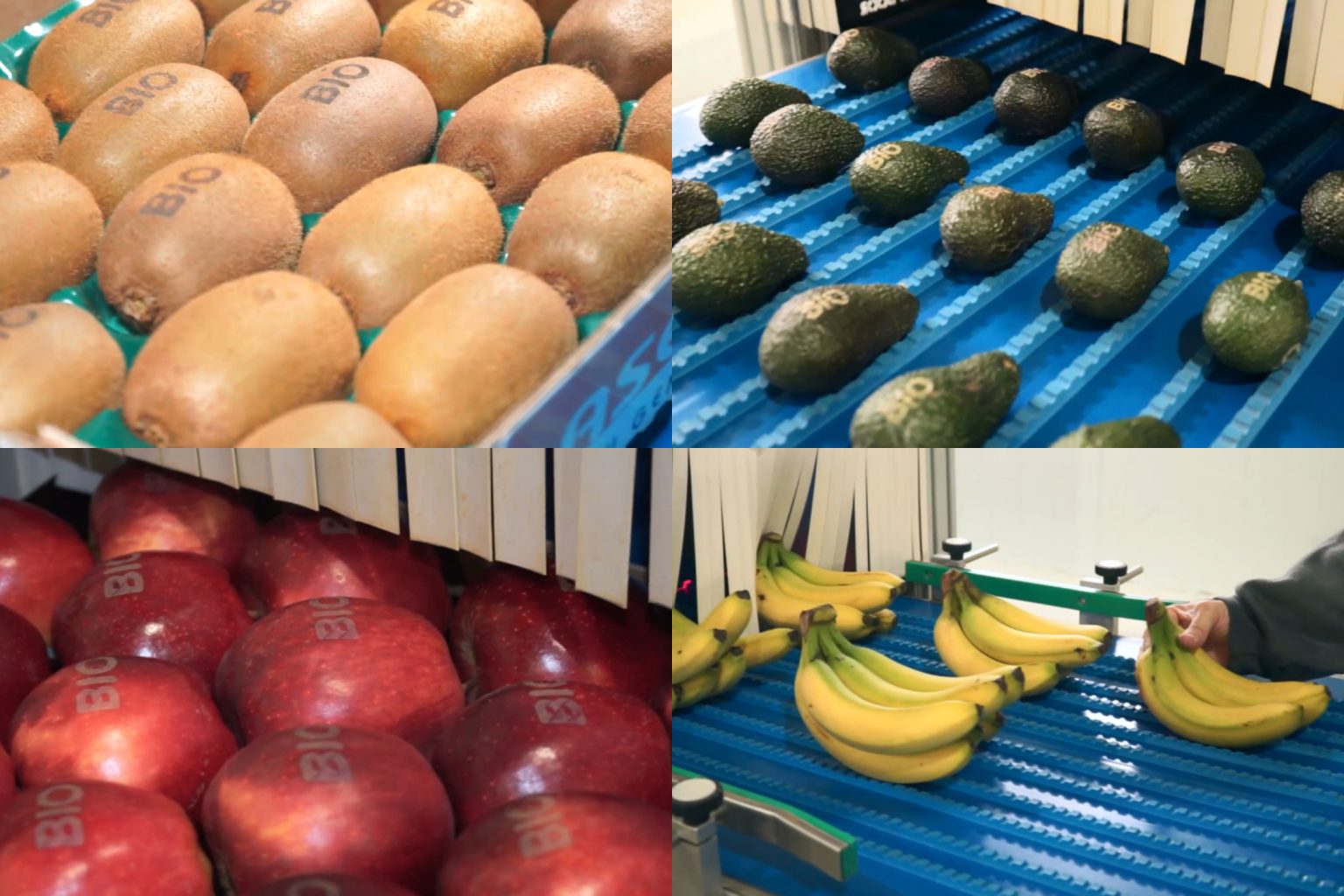 Laser Creates Eco-Friendly Labels for Fruits and Vegetables - Kuntai